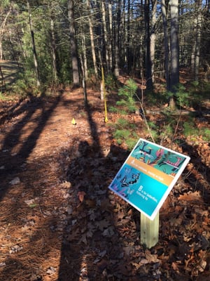 MAINEHEALTH MID COAST HOSPITAL LAB - Updated January 2026 - 17 Photos ...