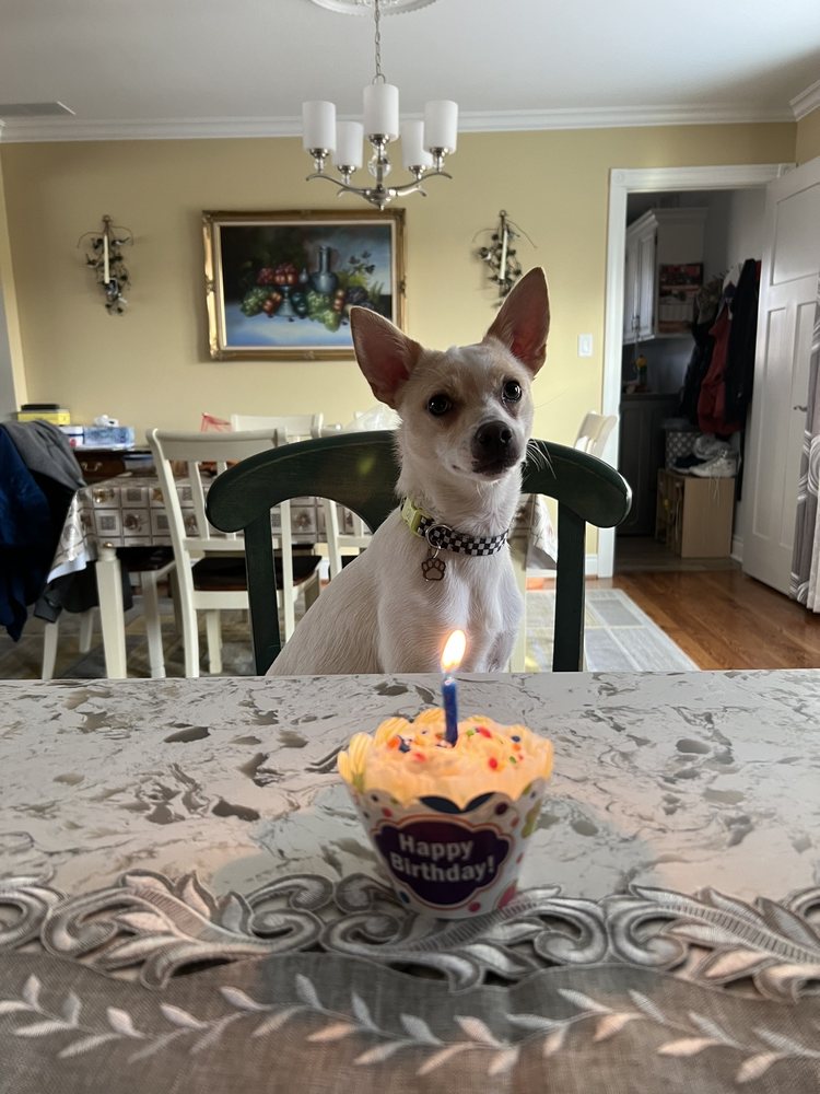 TWO BOSTONS - Updated August 2025 - 14 Photos & 24 Reviews - 535 ...