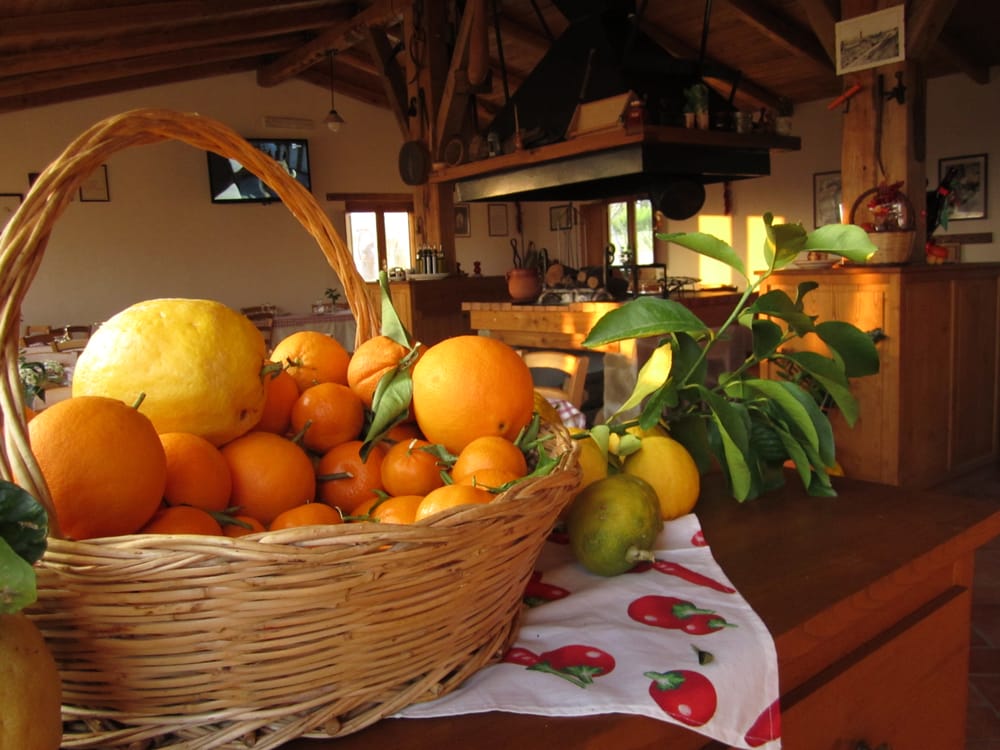 LA RONDINELLA - Updated July 2025 - Via Vittorio Emanuele III 22 ...