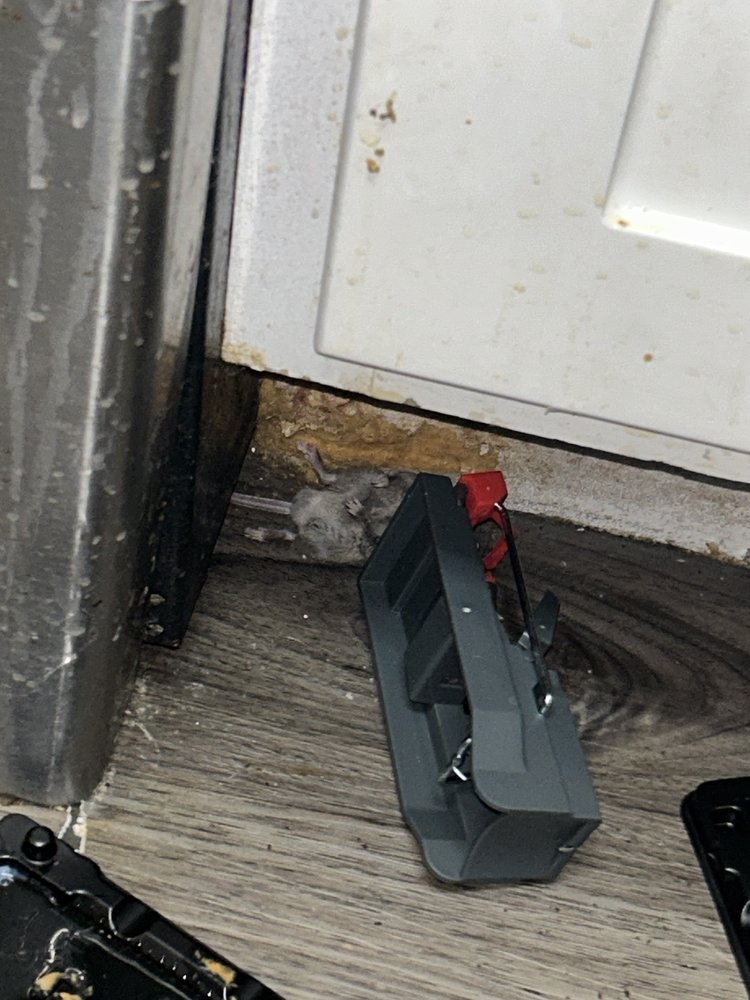 BRIDGE POINTE LANDING APARTMENTS - Updated December 2025 - 11 Reviews ...