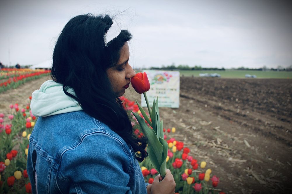 RICHARDSON FARMS - 326 Photos & 158 Reviews - 909 English Prairie Rd ...