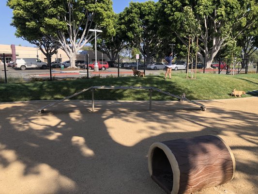 MAXWELL DOG PARK - 34 Photos & 18 Reviews - Dog Parks - 2650 W Broadway ...