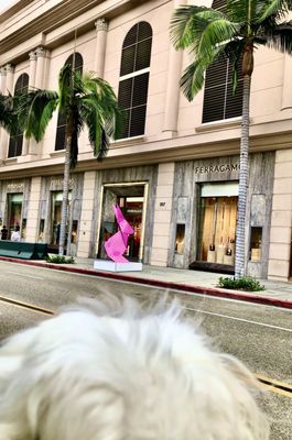 RODEO DRIVE - Updated November 2025 - 2267 Photos - 213 Reviews - Rodeo ...