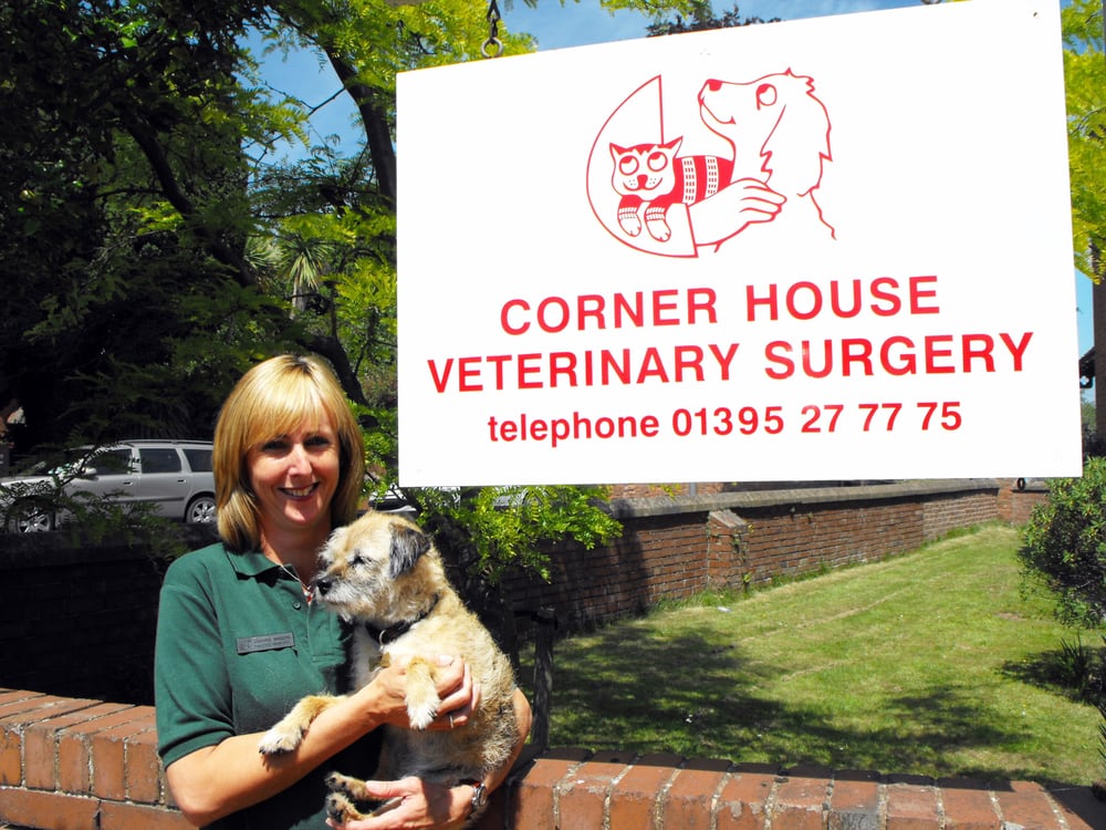 CORNER HOUSE VETERINARY SURGERY - Updated February 2026 - 84 Withycombe ...