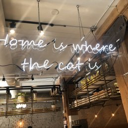 DOSC - Updated January 2026 - 396 Photos & 129 Reviews - 10190 - 104 ...