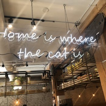 DOSC - Updated January 2026 - 396 Photos & 129 Reviews - 10190 - 104 ...