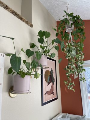 THAT FEELING CO - Updated October 2025 - 114 Photos & 41 Reviews - 1721 ...