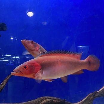 FLOATING SEA AQUATICS - Updated April 2025 - 251 Photos & 53 Reviews ...