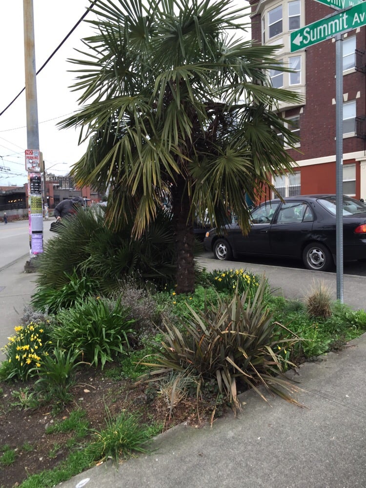FOUR CAR PARK - Updated April 2026 - E Denny And Summit, Seattle ...