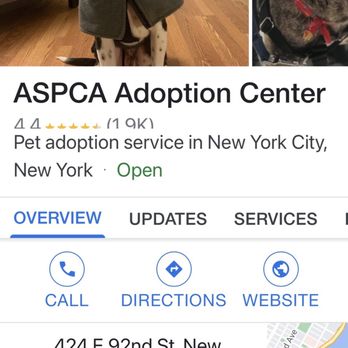 ASPCA ADOPTION CENTER - Updated December 2025 - 227 Photos & 279 ...