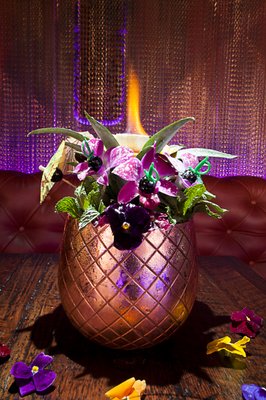 TIKI ROCK - 489 Photos & 537 Reviews - 2 Broad St, Boston ...