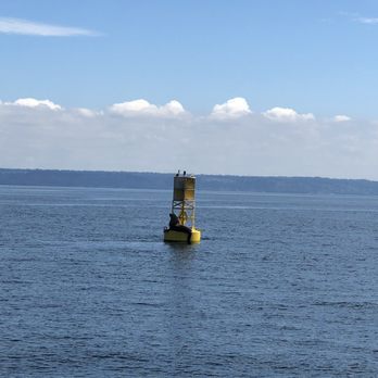 PUGET SOUND EXPRESS - Updated April 2025 - 171 Photos & 78 Reviews ...