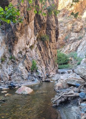 FISH CANYON NARROWS - Updated June 2026 - 68 Photos - 37773 Templin Hwy ...