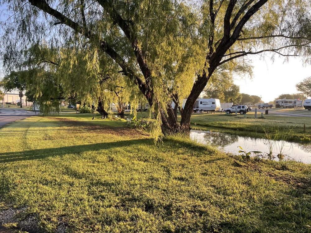 BRAUNIG LAKE RV RESORT - Updated January 2026 - 29 Photos & 12 Reviews ...