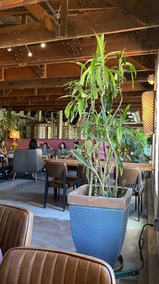 SLOW BODY BEER - Updated August 2025 - 83 Photos & 29 Reviews - 831 E ...