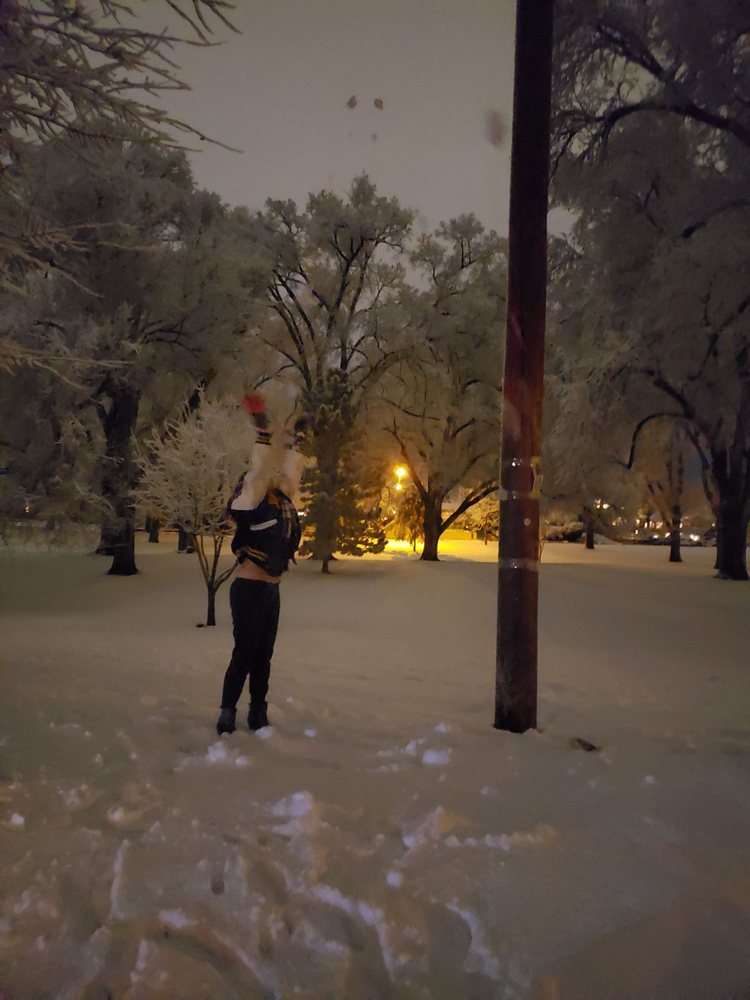 HYDER PARK - 42 Photos - 700 Richmond Dr SE, Albuquerque, NM - Yelp