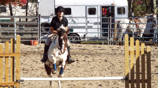 EDINGER FARM - Updated July 2025 - 18 Photos - 42 Fairfield St ...