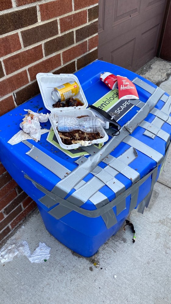 SHANDRA’S ROTI SHOP - Updated September 2025 - 122 Photos & 119 Reviews ...