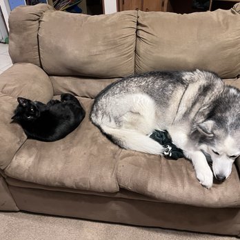 CMPD ANIMAL CARE AND CONTROL - Updated January 2026 - 34 Photos & 32 ...