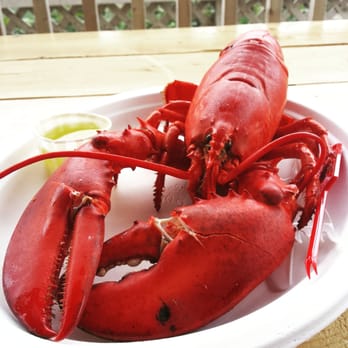 RYER’S LOBSTERS - Updated December 2025 - 57 Photos & 35 Reviews - 8494 ...