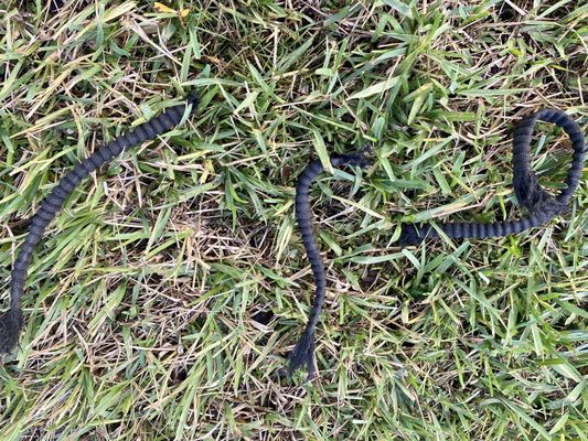 ARTISTREE LANDSCAPE MAINTENANCE & DESIGN - Updated May 2024 - 33 Photos ...