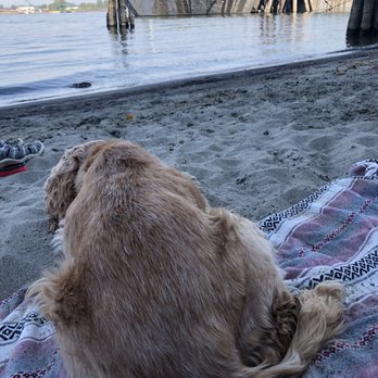 KELLEY POINT PARK - Updated October 2025 - 56 Photos & 46 Reviews ...