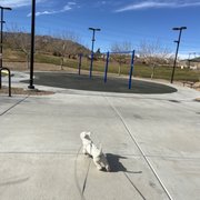 KNICKERBOCKER PARK - 101 Photos & 38 Reviews - Dog Parks - 10695 ...