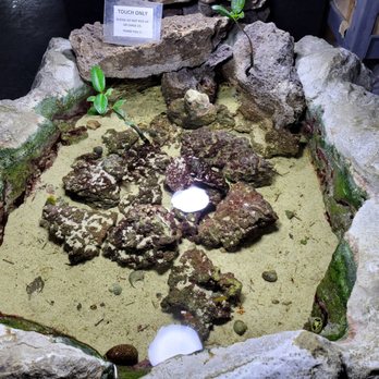 AQUARIUM ADVENTURE COLUMBUS - Updated October 2025 - 42 Photos & 158 ...