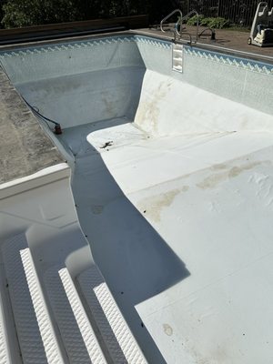 LATHAM POOL PRODUCTS - Updated October 2025 - 23 Photos & 18 Reviews ...
