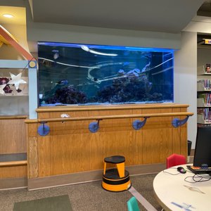 FORT BEN BRANCH LIBRARY - Updated March 2026 - 45 Photos - 9330 E 56th ...