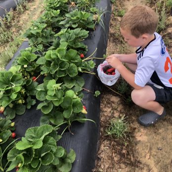 EFURD ORCHARDS - Updated August 2025 - 59 Photos & 37 Reviews - 4004 ...