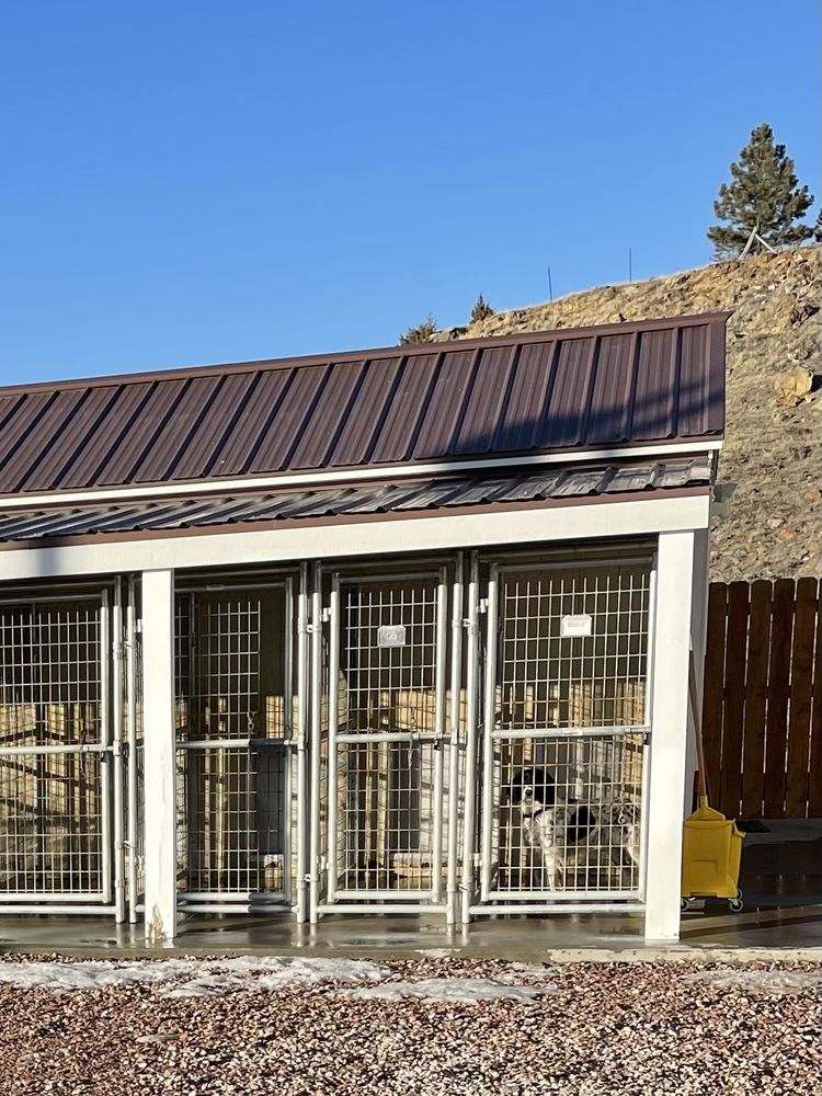 POWDER RIVER GUN DOGS - Updated August 2025 - Rozet, Wyoming - Pet ...