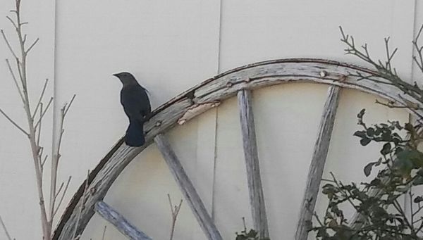 ST ANDREW’S ABBEY - 120 Photos & 24 Reviews - 31001 N Valyermo Rd ...