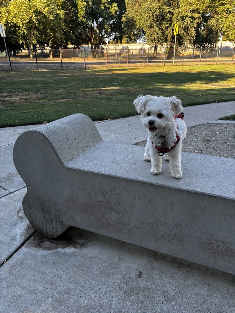 BARKLEYVILLE DOG PARK - Updated December 2025 - 117 Photos & 94 Reviews ...