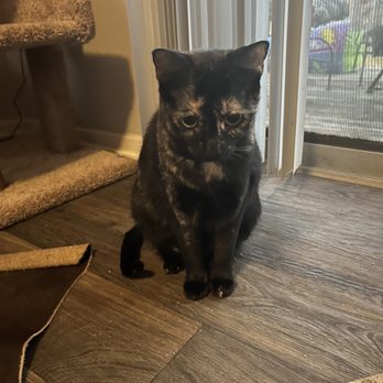 AUSTIN ANIMAL CENTER - Updated January 2025 - 169 Photos & 229 Reviews ...