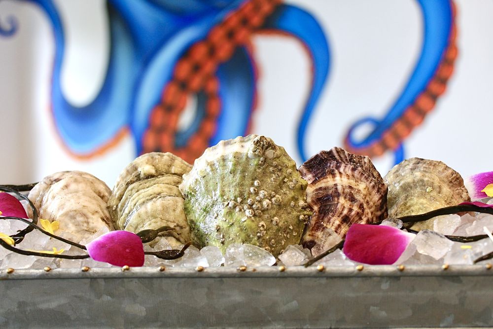 THE LOFT RAW BAR & SEAFOOD GRILL - Updated June 2024 - 89 Photos & 72 ...