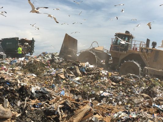 TRANS-JORDAN LANDFILL - Updated May 2026 - 12 Photos & 22 Reviews ...
