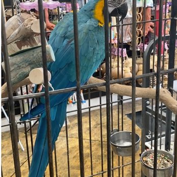 BIRDSMART - Updated December 2025 - 8344 N Armenia Ave, Tampa, Florida ...