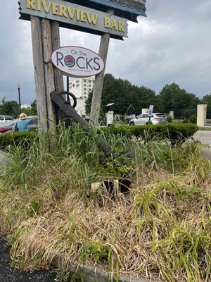 KINGFISH - Updated December 2025 - 232 Photos & 197 Reviews - 601 W ...