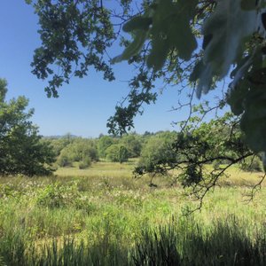 RAGLE RANCH REGIONAL PARK - 56 Photos & 42 Reviews - 500 Ragle Rd ...