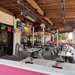 NEON CACTUS - Updated December 2025 - 382 Photos & 298 Reviews - 241 E ...