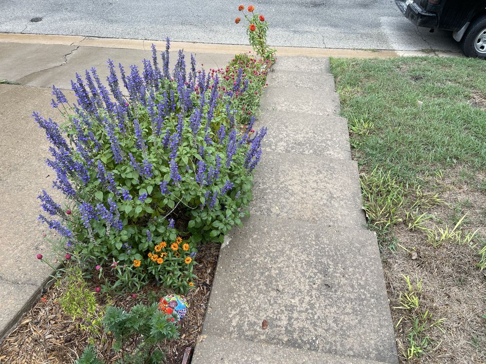 FORMULA PRESSURE WASHING - Granger, Texas - Pressure Washers - Phone ...