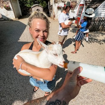 ROSE BRIDGE FARM & SANCTUARY - Updated March 2024 - 173 Photos & 62 ...