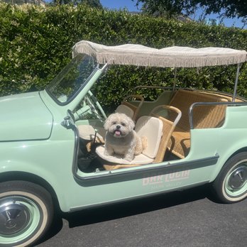 PETSMART - Updated July 2024 - 61 Photos & 129 Reviews - 575 Rohnert ...