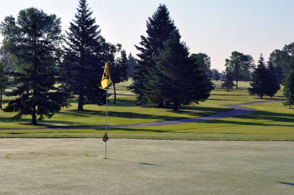 SHAMROCK GOLF COURSE - Updated December 2025 - 10 Photos - 19625 Larkin ...