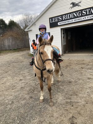 LEE’S RIDING STABLE - Updated October 2025 - 15 Photos & 20 Reviews ...