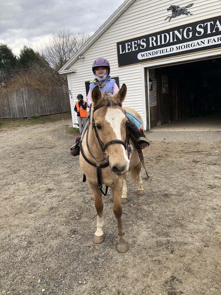 LEE’S RIDING STABLE - Updated October 2025 - 15 Photos & 20 Reviews ...