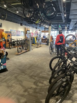 LANDRY’S BICYCLES - Updated July 2025 - 11 Photos & 30 Reviews - 44 ...