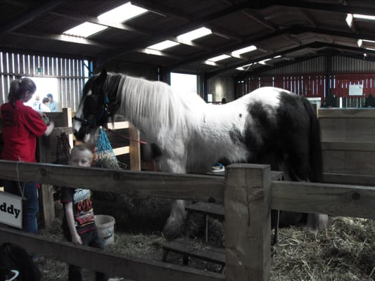 ASH END HOUSE CHILDREN’S FARMN - Updated July 2025 - 12 Photos & 10 ...