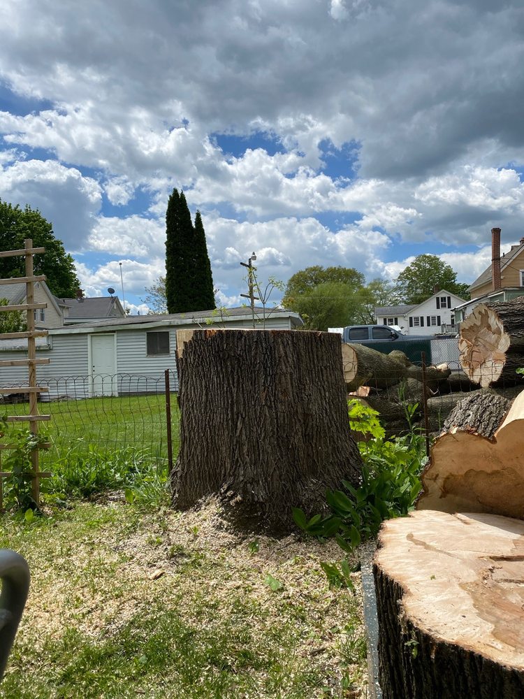 HUNTER TREE SERVICE - Updated April 2025 - 10 Photos - 33 Berkshire St ...